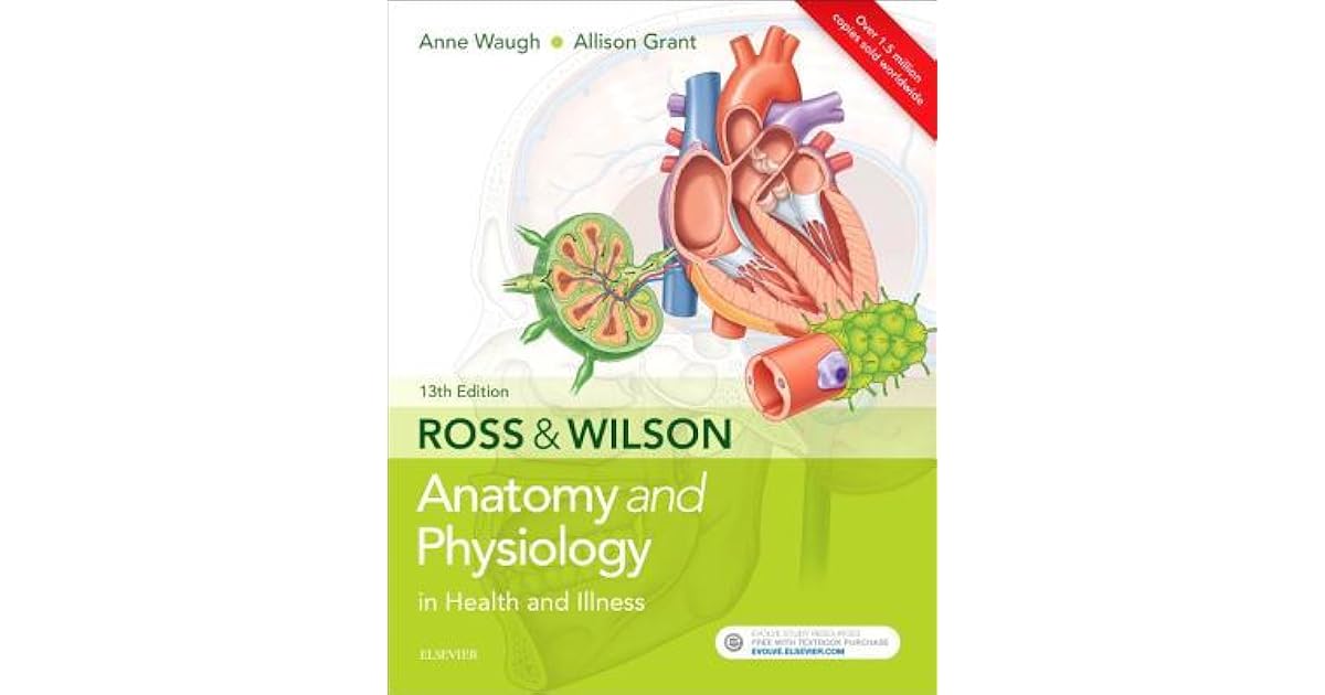 Ross & Wilson Anatomy and Physiology in Health and Illness by Anne Waugh