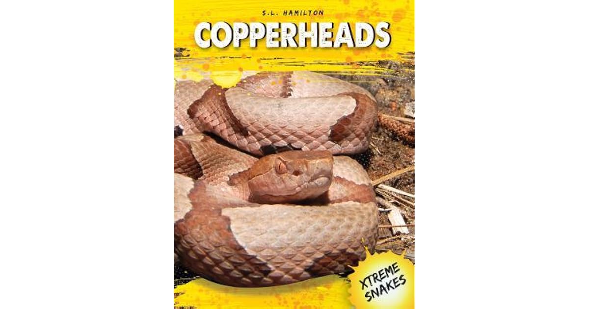 Copperheads by Sue L. Hamilton