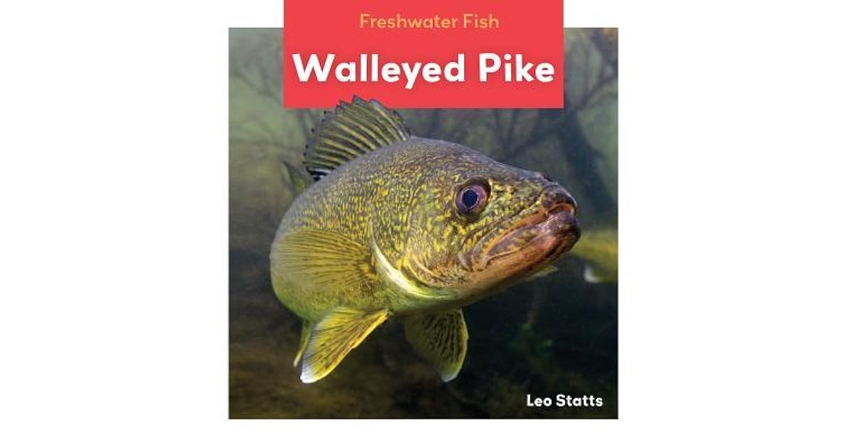 Walleyed Pike by Leo Statts