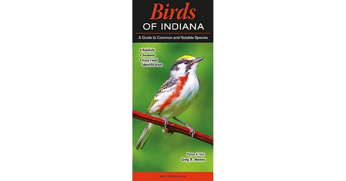 Birds of Indiana: A Guide to Common and Notable Species by Greg R. Homel