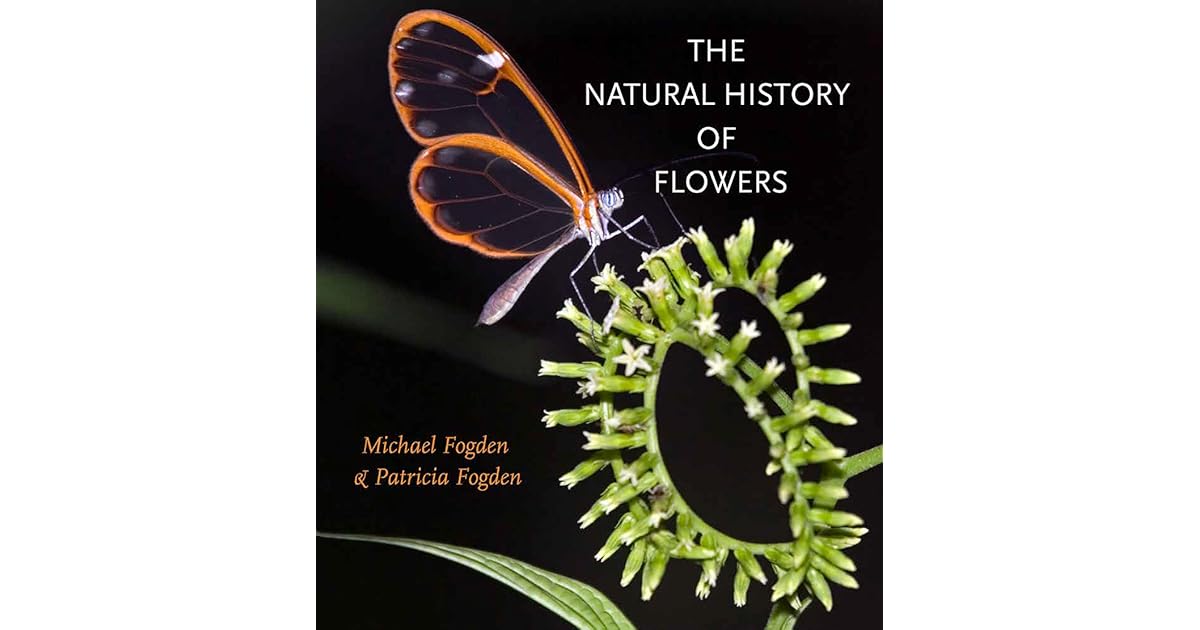 The Natural History of Flowers by Michael Fogden