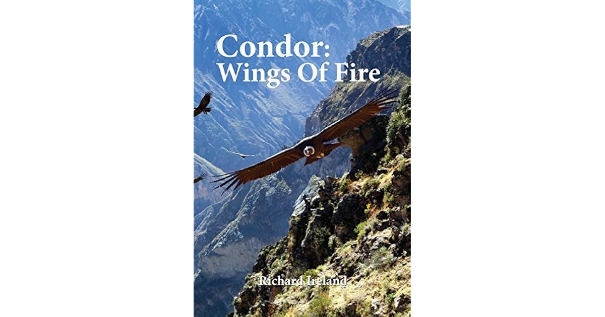 Condor: Wings of Fire by Richard Ireland