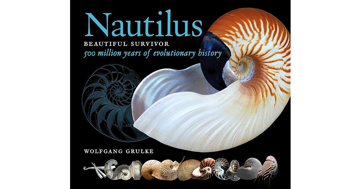 Nautilus: Beautiful Survivor - 500 Million Years of Evolutionary ...