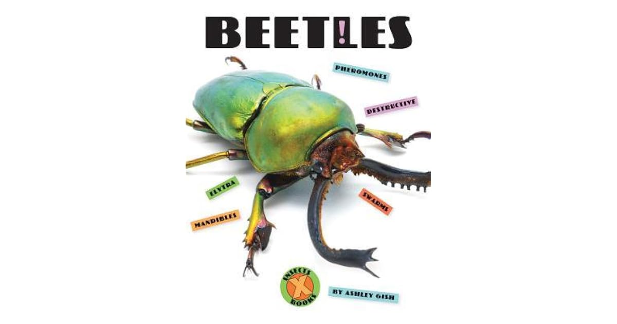 Beetles (X-Books: Insects) by Ashley Gish