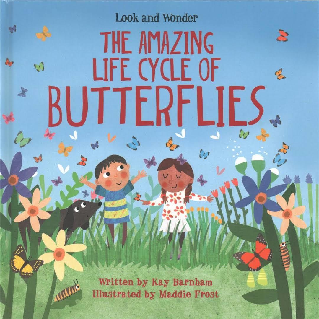 Life Cycle Of A Butterfly Book