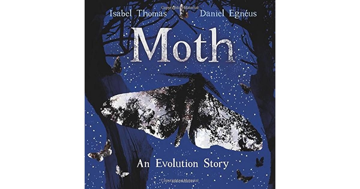 Moth by Isabel Thomas
