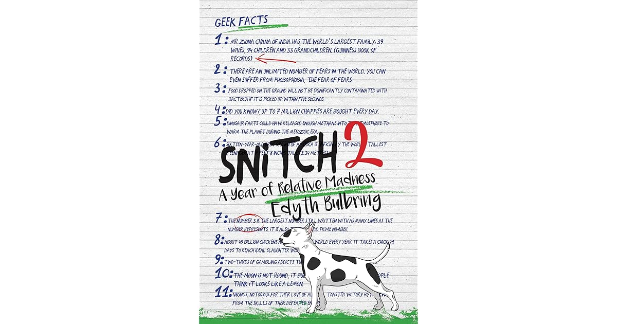 Snitch 2: A Year of Relative Madness by Edyth Bulbring