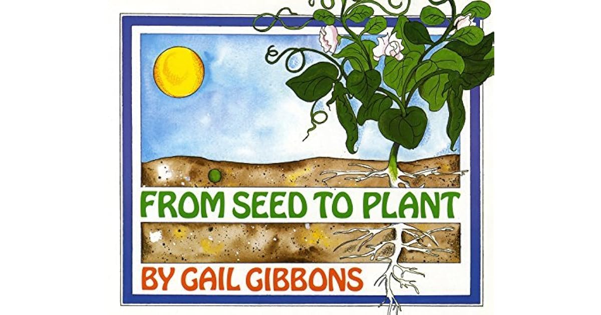 From Seed to Plant by Gail Gibbons