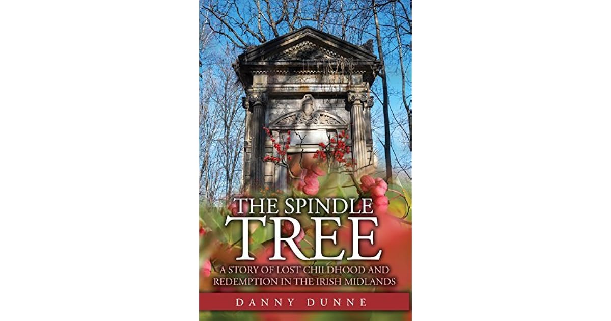 The Spindle Tree: A Story of Lost Childhood and Redemption in the Irish ...