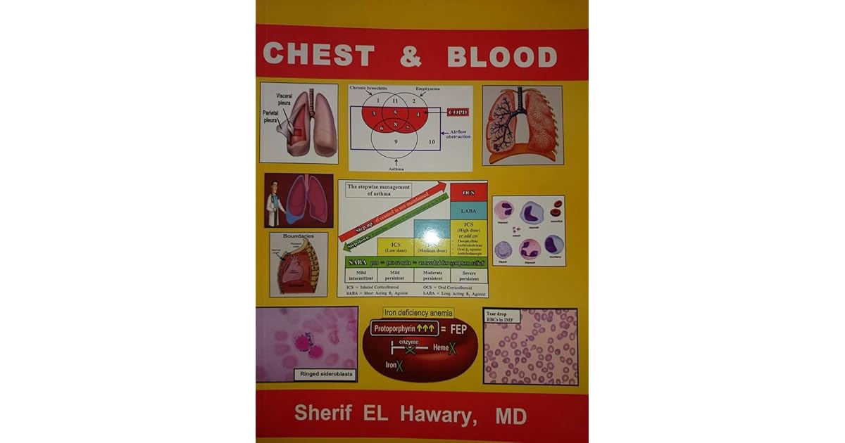 CHEST & BLOOD by Sherif El Hawary