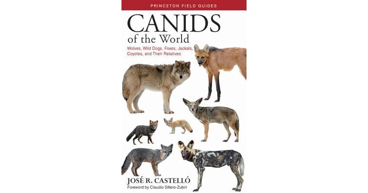 Canids of the World: Wolves, Wild Dogs, Foxes, Jackals, Coyotes, and ...