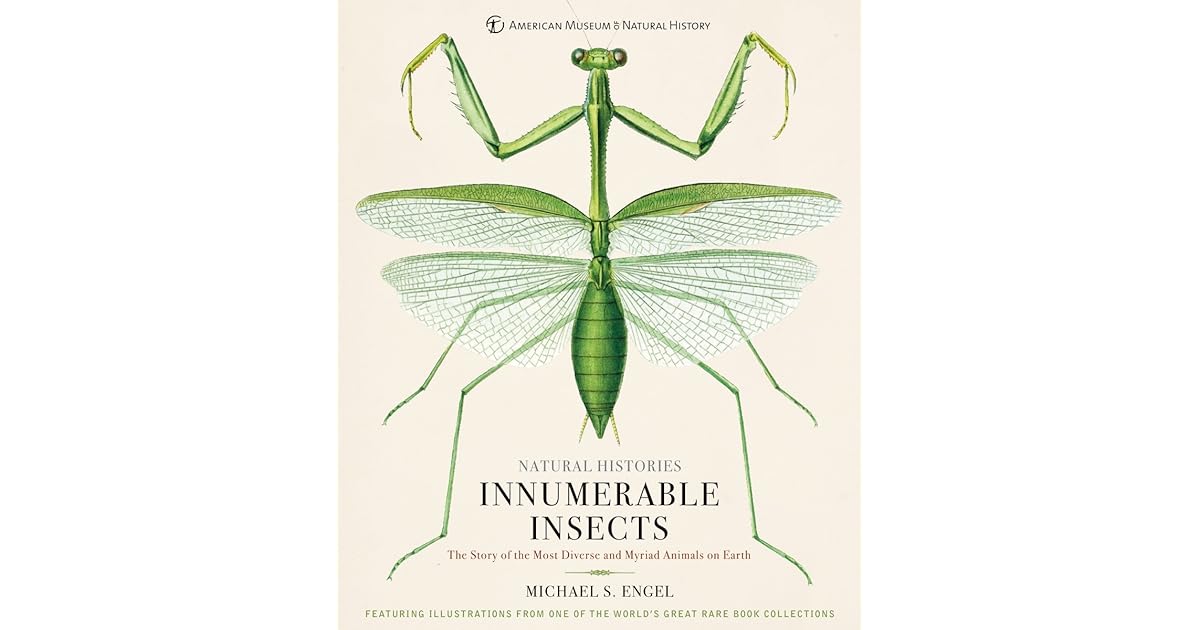 Innumerable Insects: The Story of the Most Diverse and Myriad Animals ...