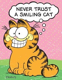 Garfield : Never Trust a Smiling Cat by Jim Davis