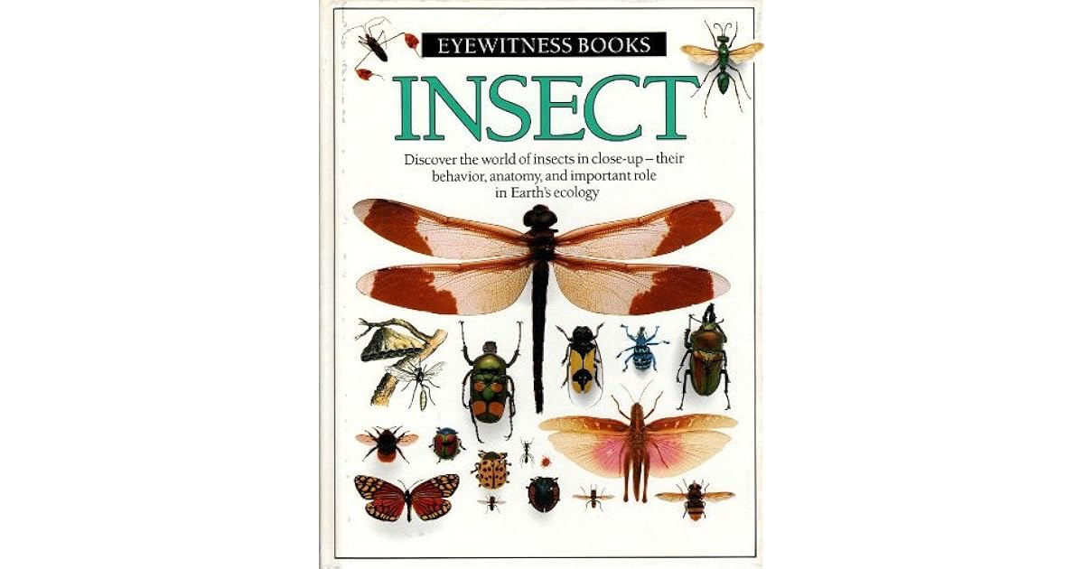 Insect by Eyewitness Books