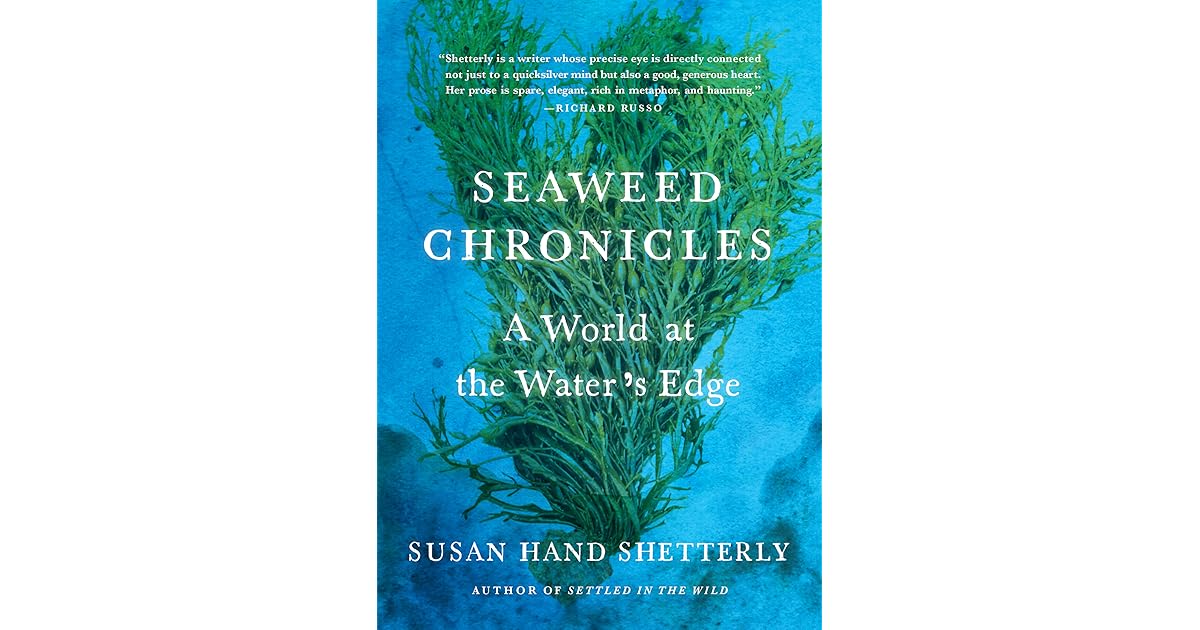 Seaweed Chronicles: A World at the Water’s Edge by Susan Hand Shetterly