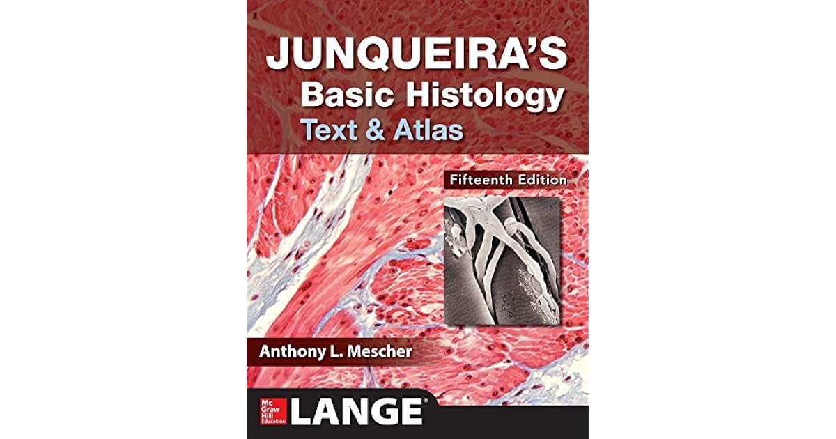 Junqueira's Basic Histology: Text and Atlas, Fifteenth Edition by ...