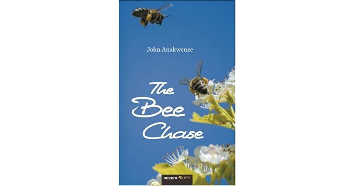 The Bee Chase by John Anakwenze