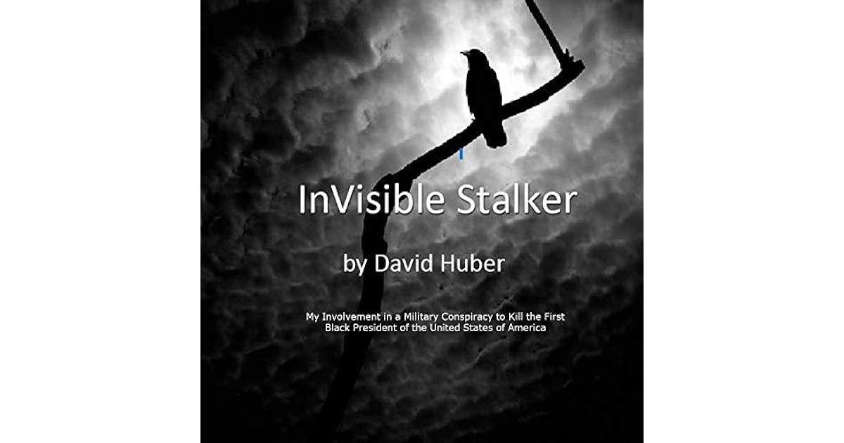 Invisible Stalker: A novel about conspiracy, cover up, targeted ...
