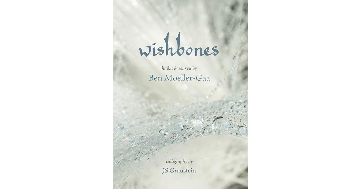 Wishbones by Ben Moeller-Gaa