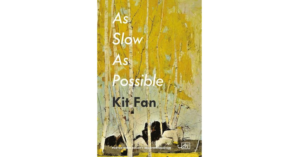 As Slow As Possible by Kit Fan