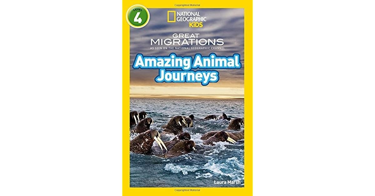 Amazing Animal Journeys: Level 4 by Laura Marsh