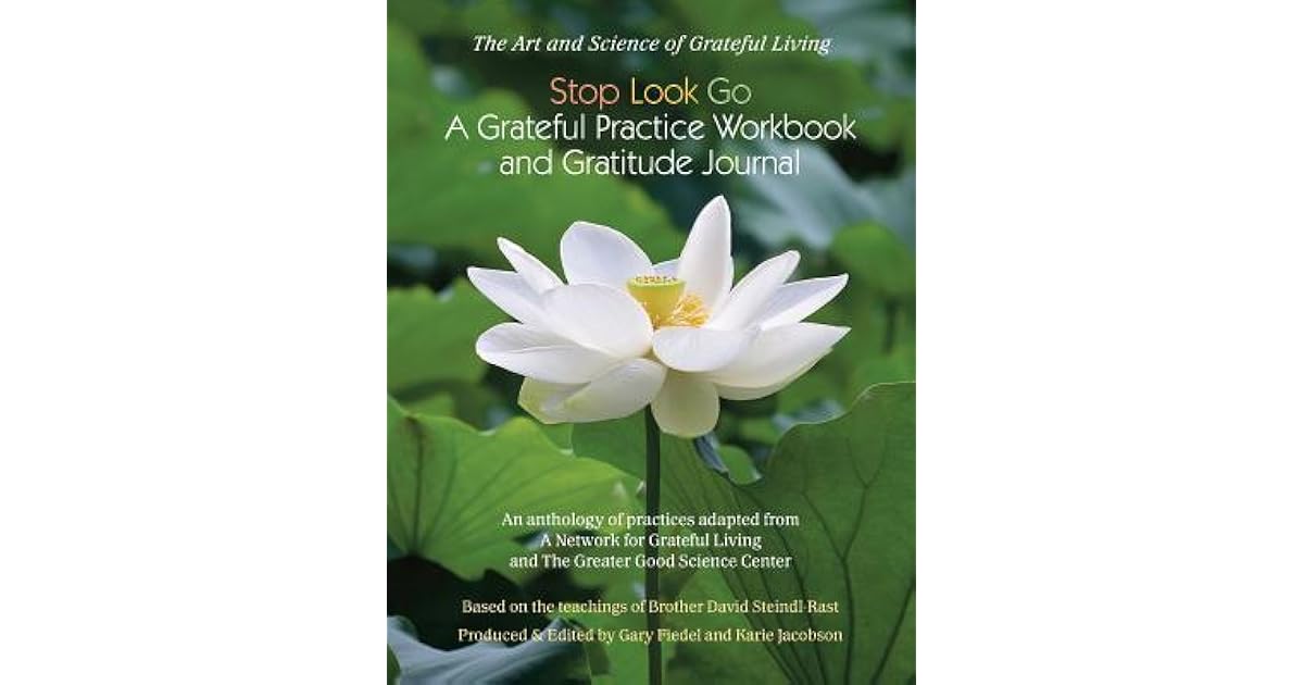 Stop-Look-Go: A Grateful Practice Workbook and Gratitude Journal by ...
