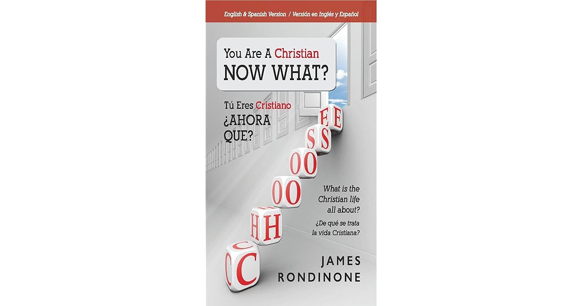 You Are A Christian. Now What? by James Rondinone