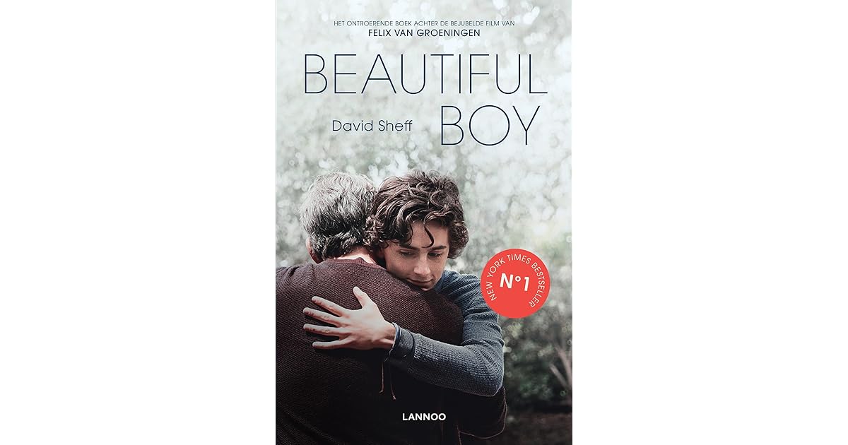 Beautiful Boy by David Sheff