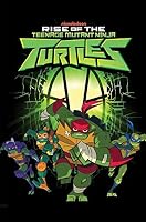 Rise of the Teenage Mutant Ninja Turtles by Matthew K. Manning
