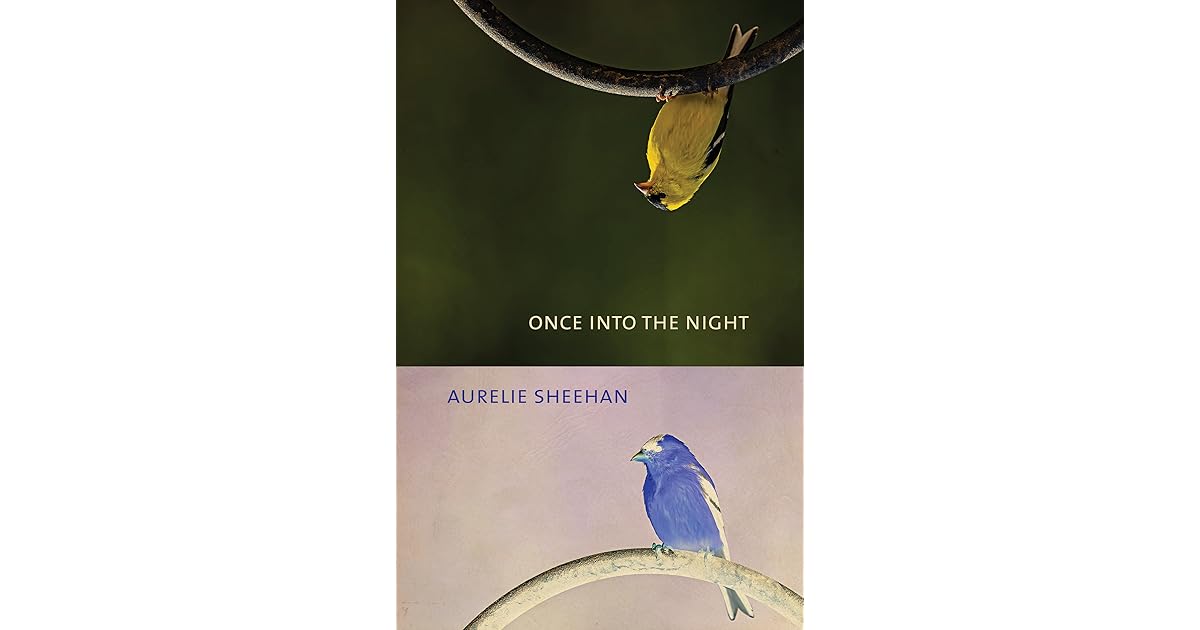 Once into the Night by Aurelie Sheehan