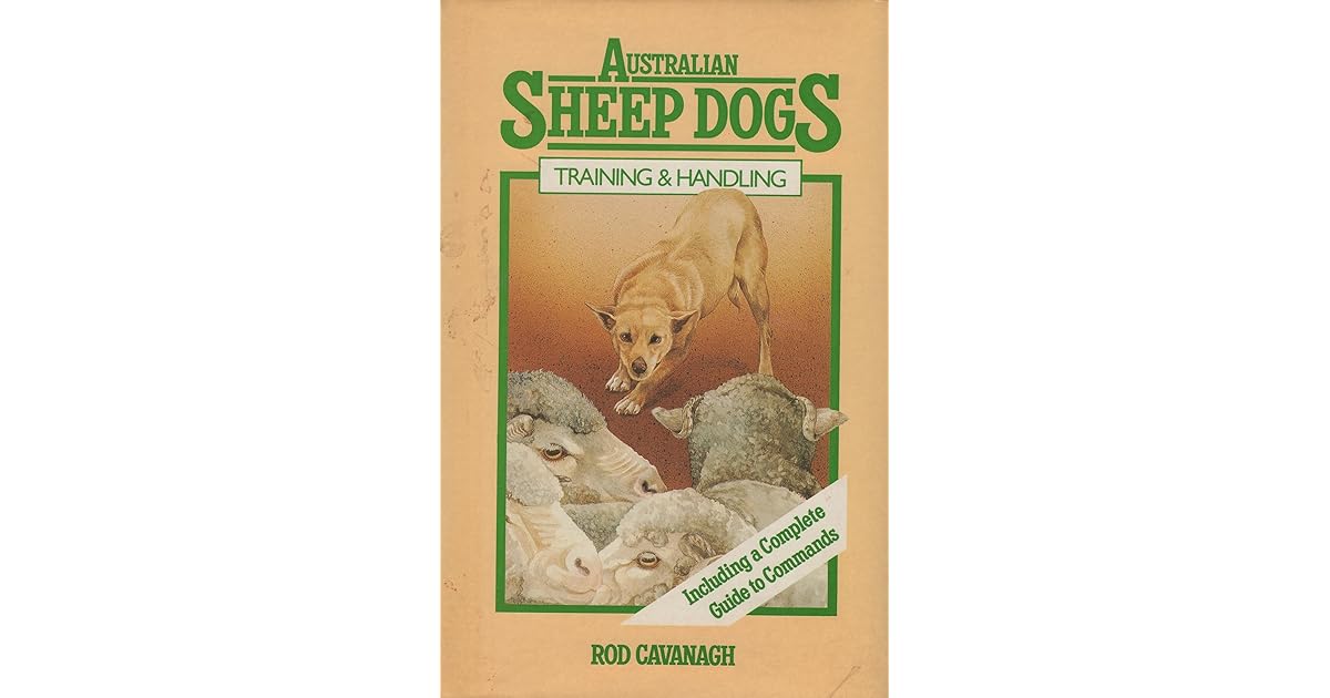 Australian Sheep Dog:s Training and Handling by Rod Cavanagh
