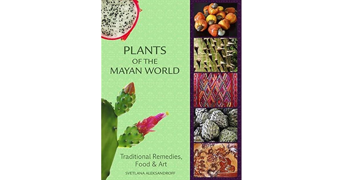 Plants of the Mayan World: Traditional Remedies, Food & Art by Svetlana ...