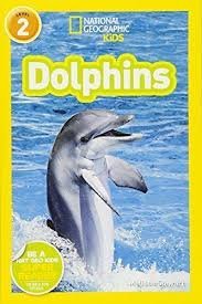 National Geographic Kids Dolphins by Melissa Stewart