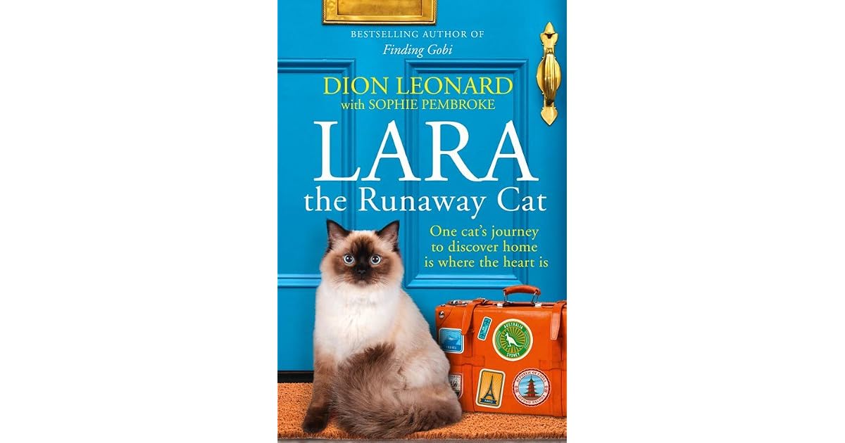 Lara The Runaway Cat: One Cat’s Journey to Discover Home Is Where the ...