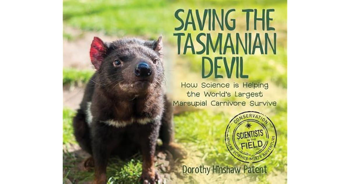 Saving the Tasmanian Devil: How Science Is Helping the World’s Largest ...