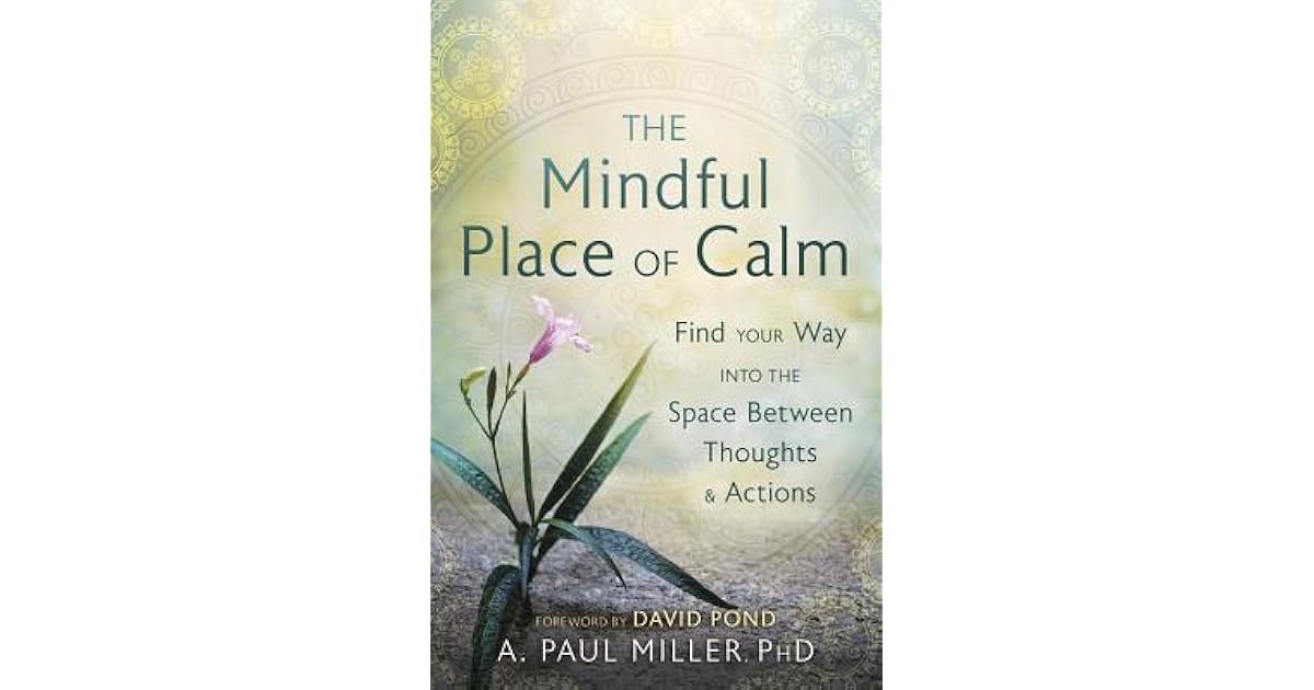 The Mindful Place of Calm: Find Your Way Into the Space Between ...
