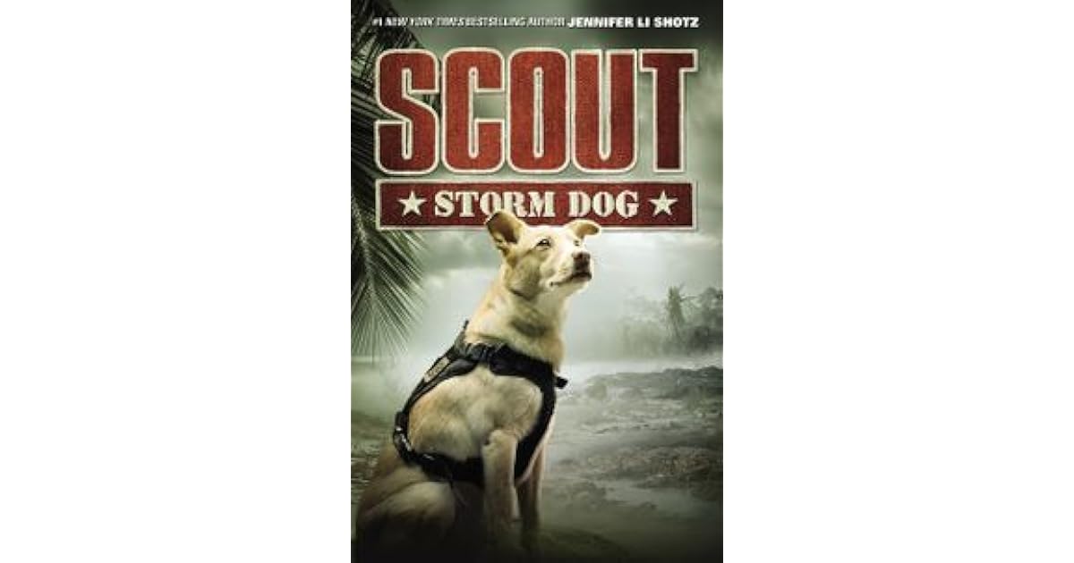 Storm Dog (Scout #3) by Jennifer Li Shotz