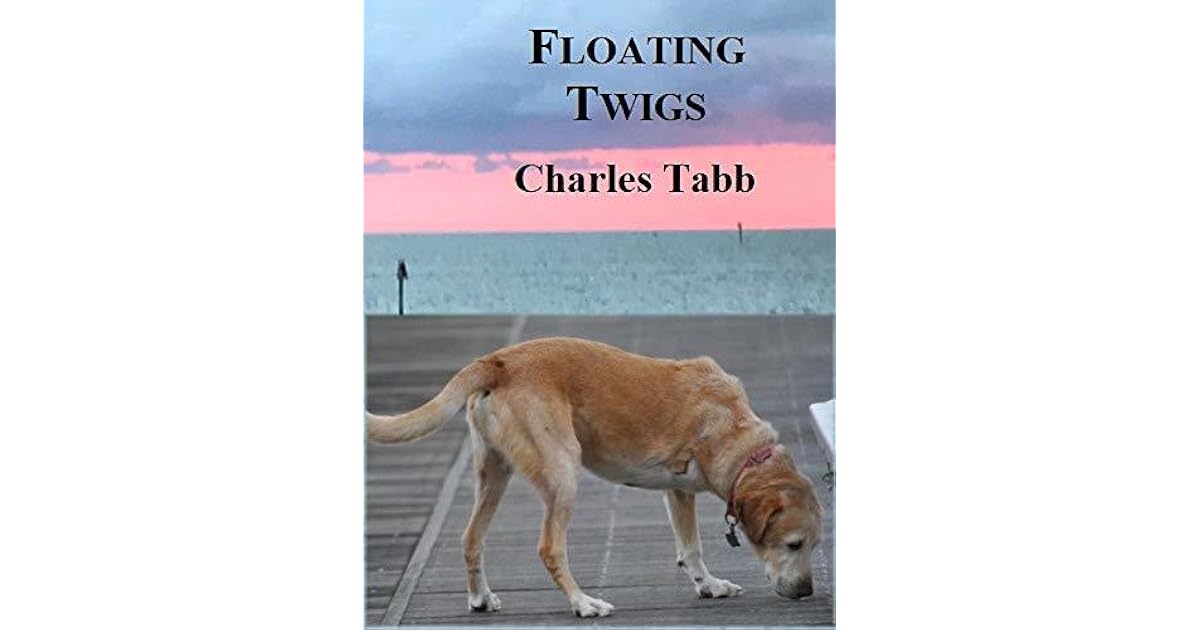 Floating Twigs by Charles Tabb
