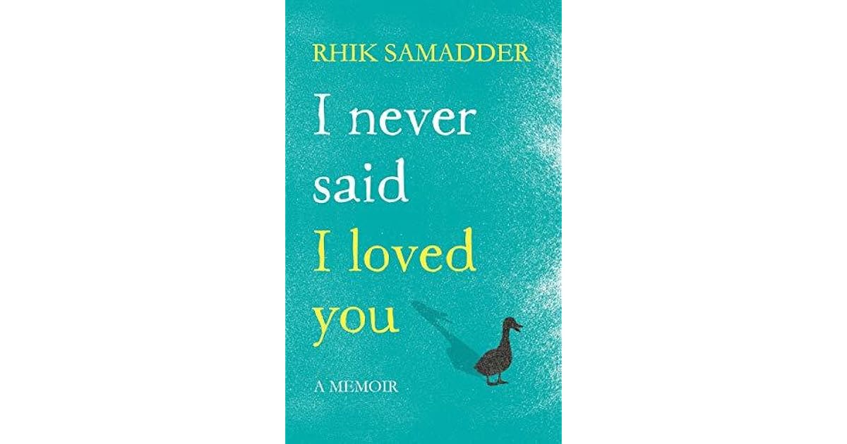 I Never Said I Loved You by Rhik Samadder