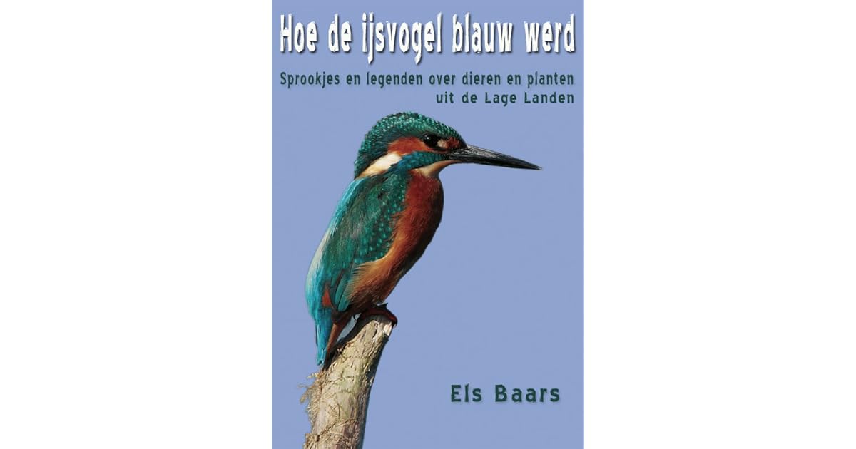 Hoe de ijsvogel blauw werd by Els Baars