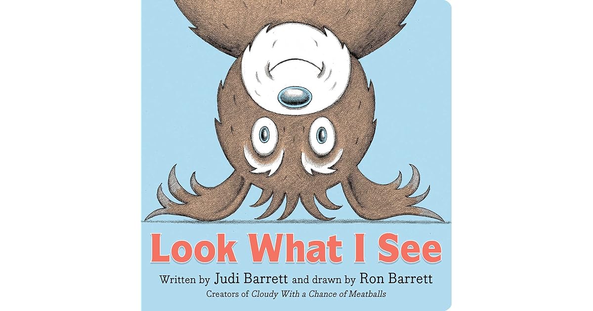 Look What I See by Judi Barrett