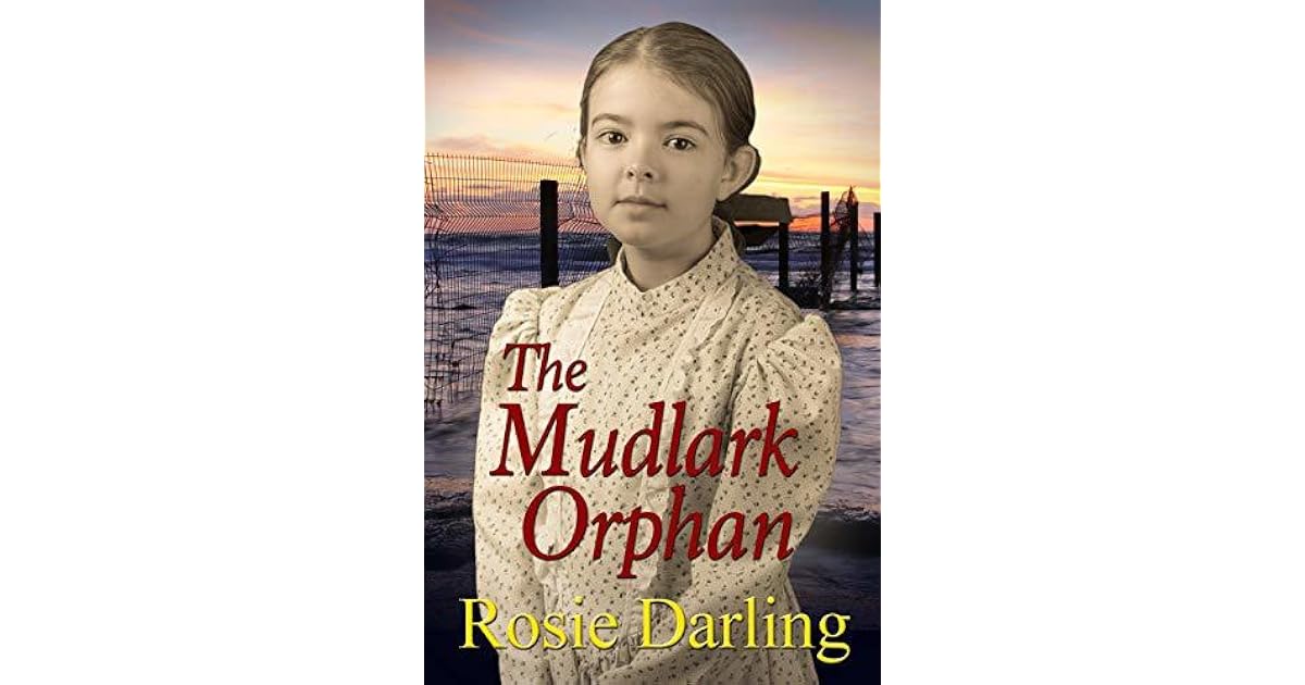 The Mudlark Orphan by Rosie Darling