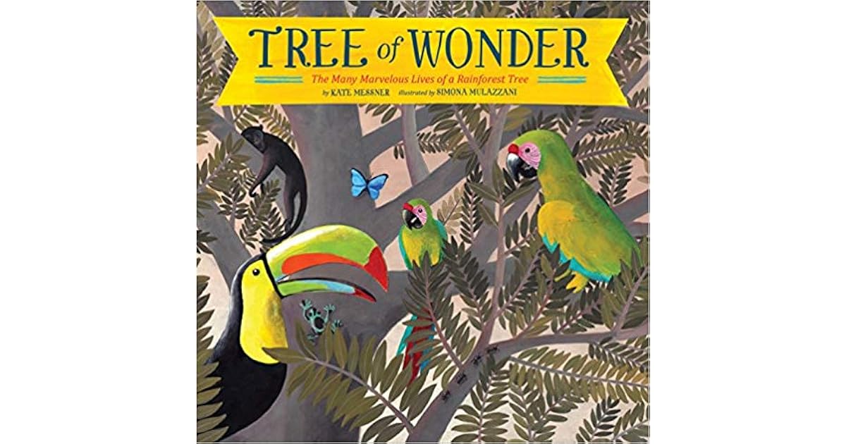 Tree of Wonder: The Many Marvelous Lives of a Rainforest Tree by Kate ...
