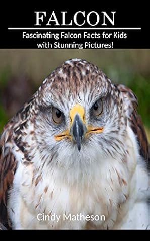 Falcon: Fascinating Falcon Facts for Kids with Stunning Pictures! by ...