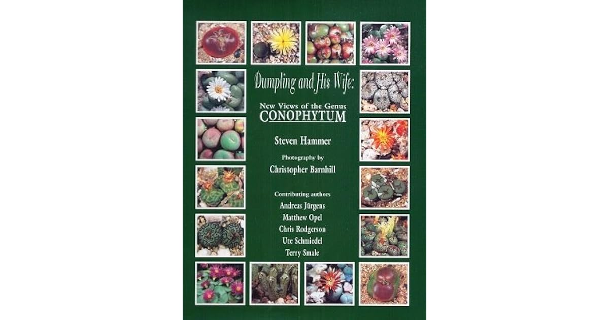 Dumpling And His Wife: New Views Of The Genus Conophytum by Steven Hammer