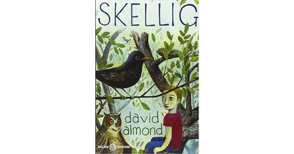 Skellig by David Almond