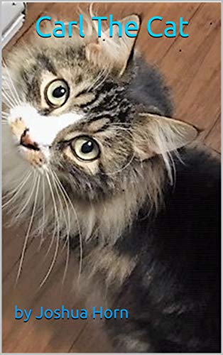 Carl The Cat by Joshua Horn