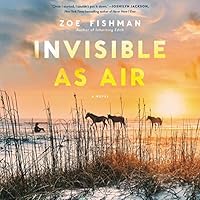 Invisible as Air by Zoe Fishman