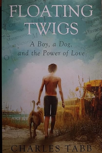 Floating Twigs by Charles Tabb