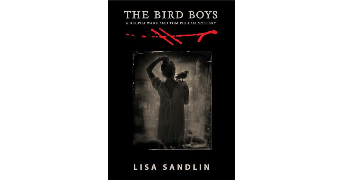 The Bird Boys by Lisa Sandlin
